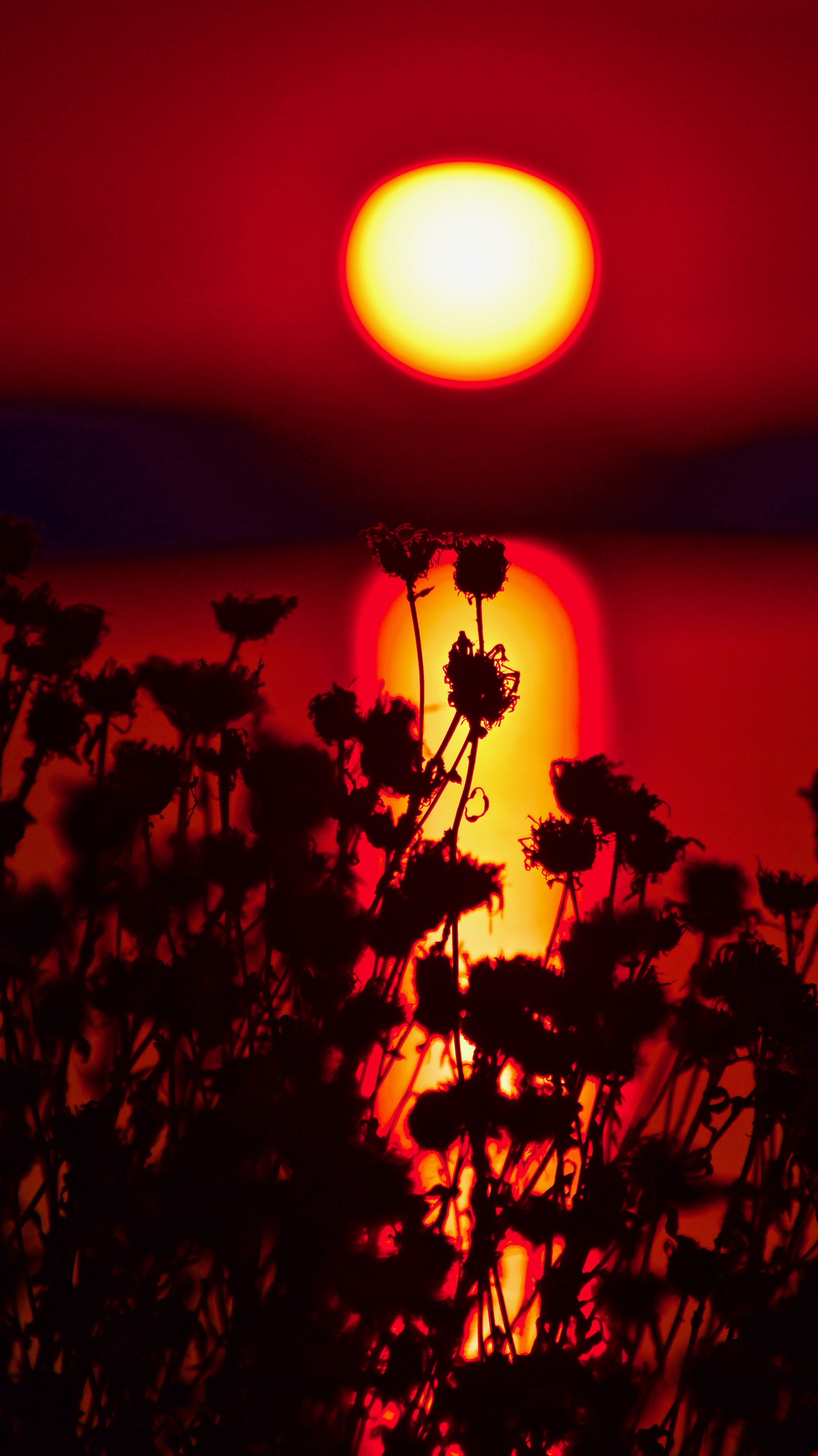 Sunset of the week 12-10-18 | Westside Seattle